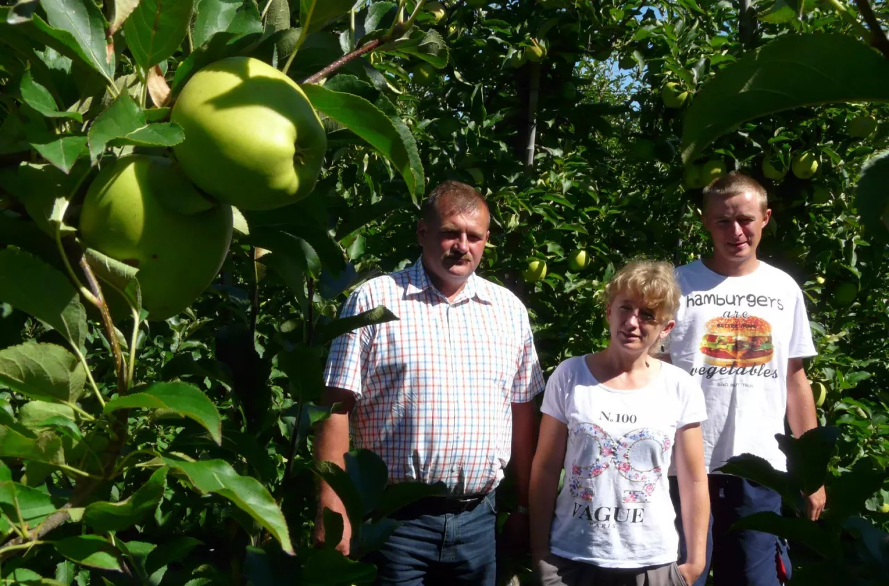 Rosyjska ruletka z polskim jabłkiem