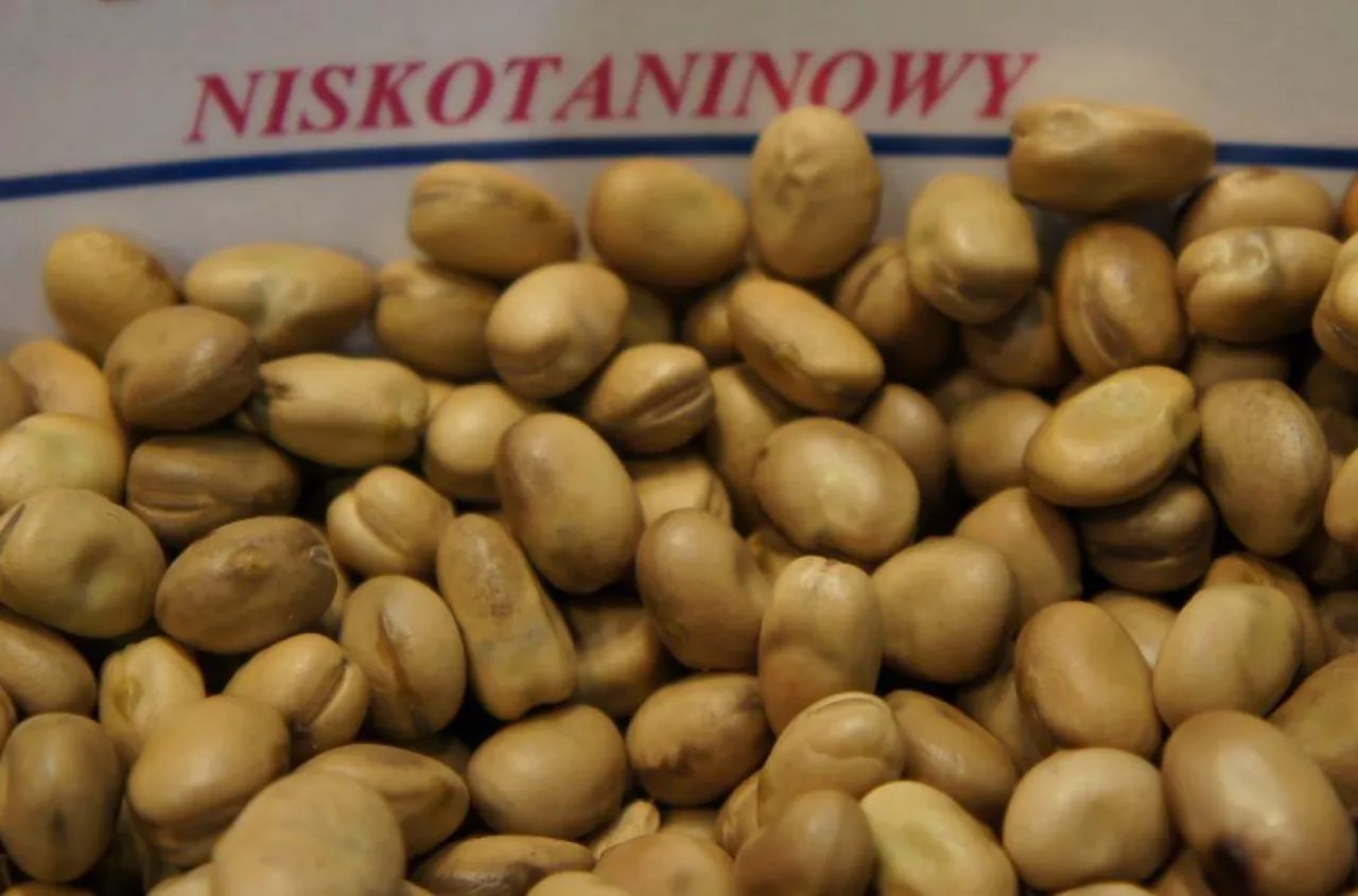 Bobik i jego lista odmian zalecanych