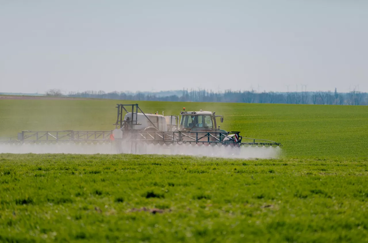 Bexoveld active - nowa substancja od Cortevy. Zwalcza chwasty w zbożach ...