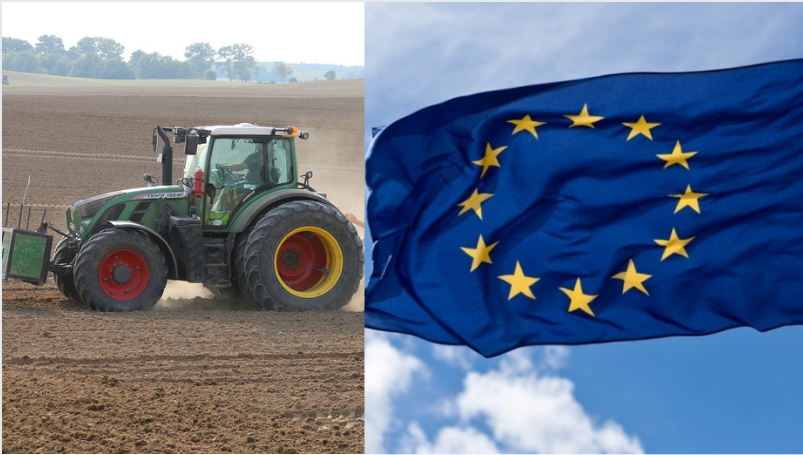 Jak wyjście Polski z UE może wpłynąć na rolnictwo? "Gospodarstwa zaczną ...