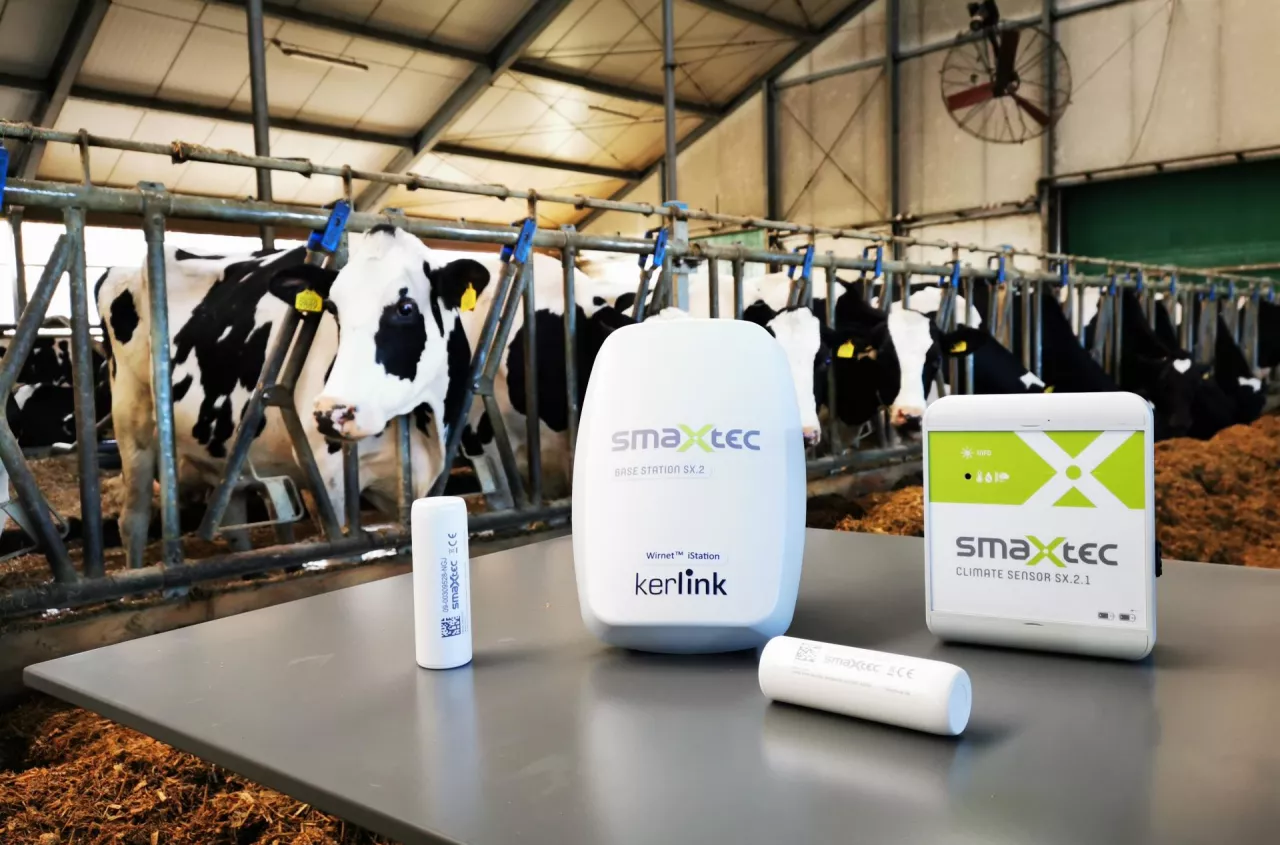 SmaXtec - monitoring stada, jakiego jeszcze nie było