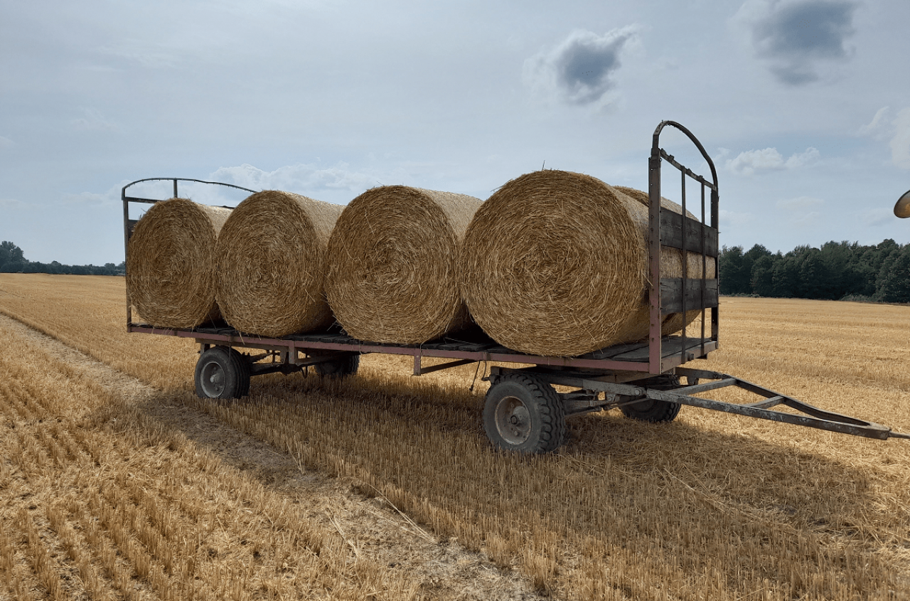 Jak ustawić stóg słomy zgodnie z prawem? Jakie odległości zachować?