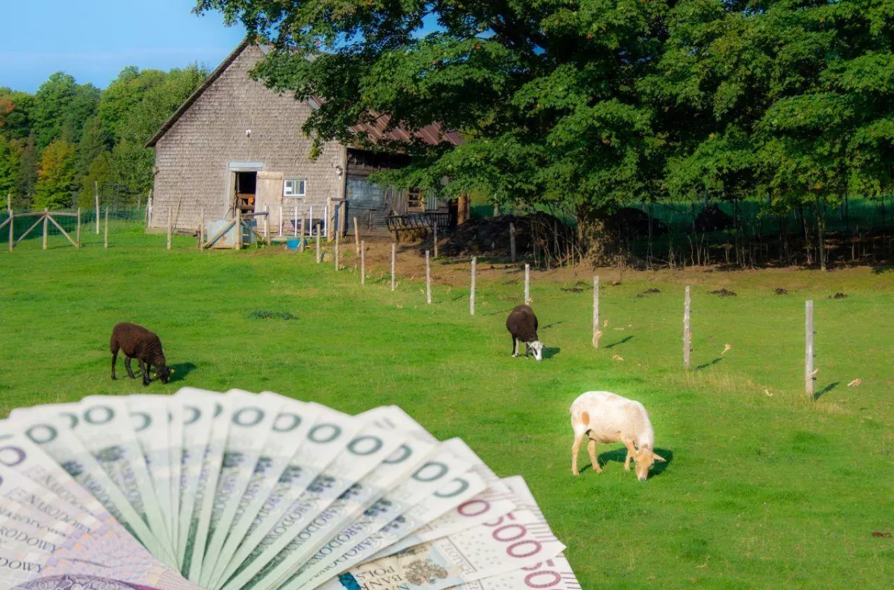 Płatność dla małych gospodarstw: coraz mniej czasu na złożenie wniosku