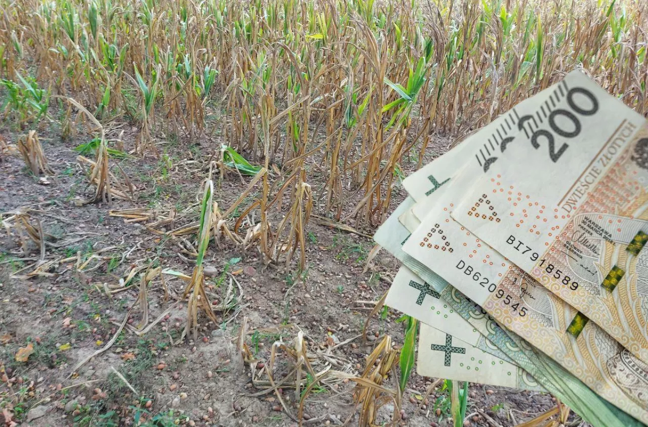 3000 zł do hektara. Wielu rolników wykluczonych z pomocy ARiMR