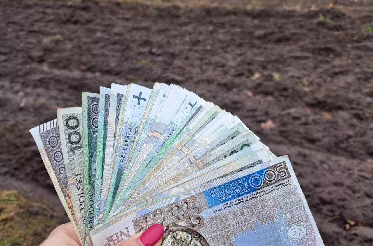 Ziemia rolna w Polsce jest... tania