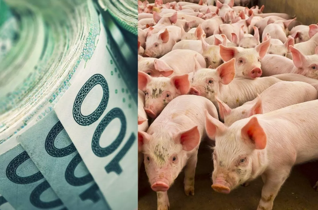 200 tys. zł dotacji na rolnictwo 4.0. Co rolnik może kupić? [LISTA]