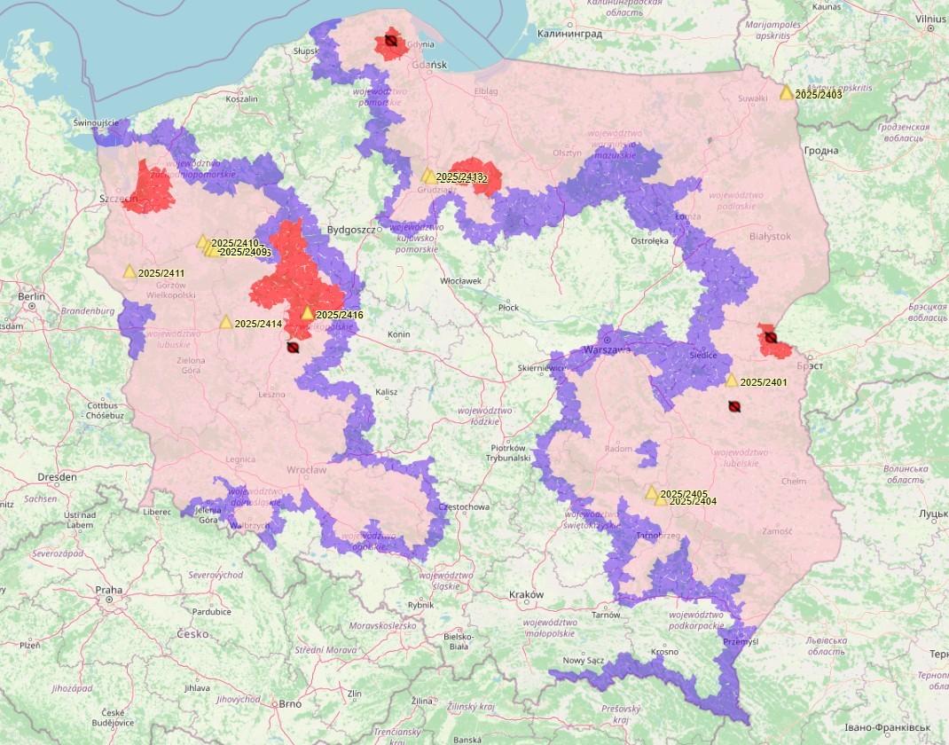 Jest czwarte ognisko ASF w Polsce. Wirus się rozpędza