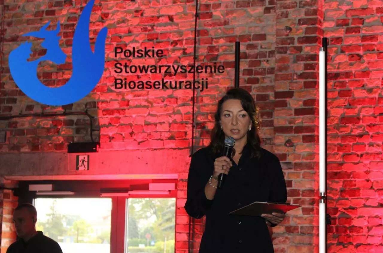 Świnie wybite, ceny w dół. Czy nowa organizacja zatrzyma ASF?